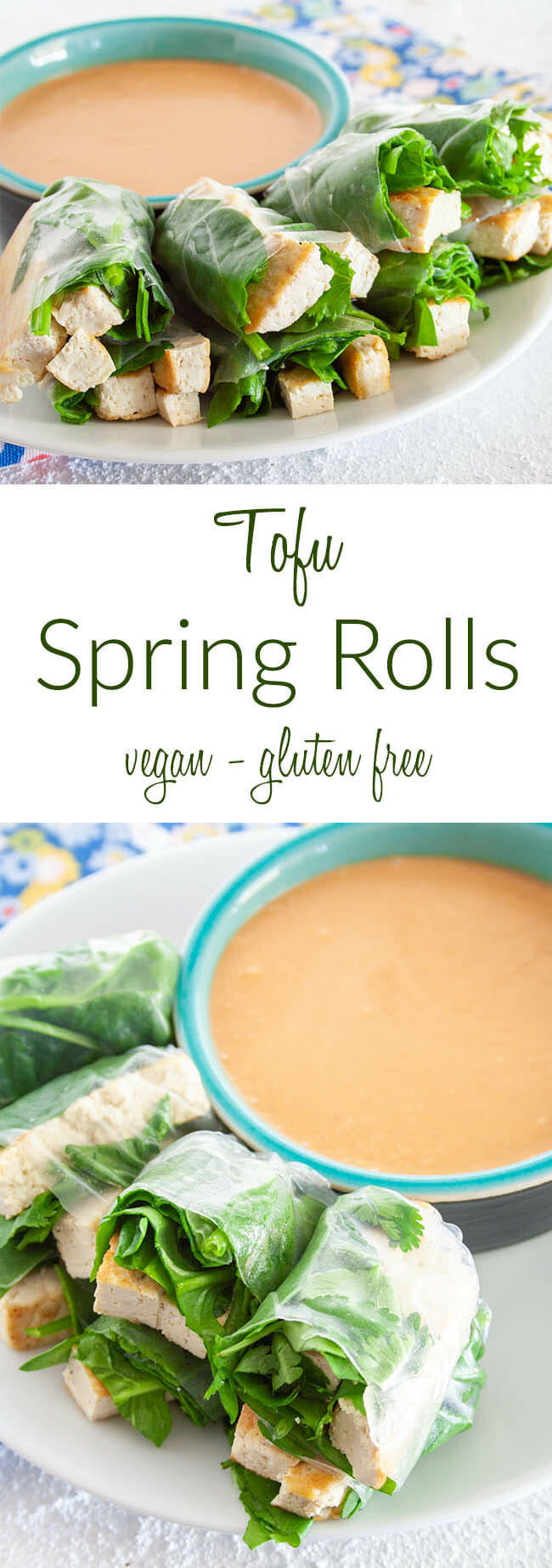Tofu Spring Rolls with Peanut Dipping Sauce - Create Mindfully