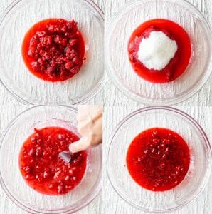 Raspberry Shrub - Create Mindfully