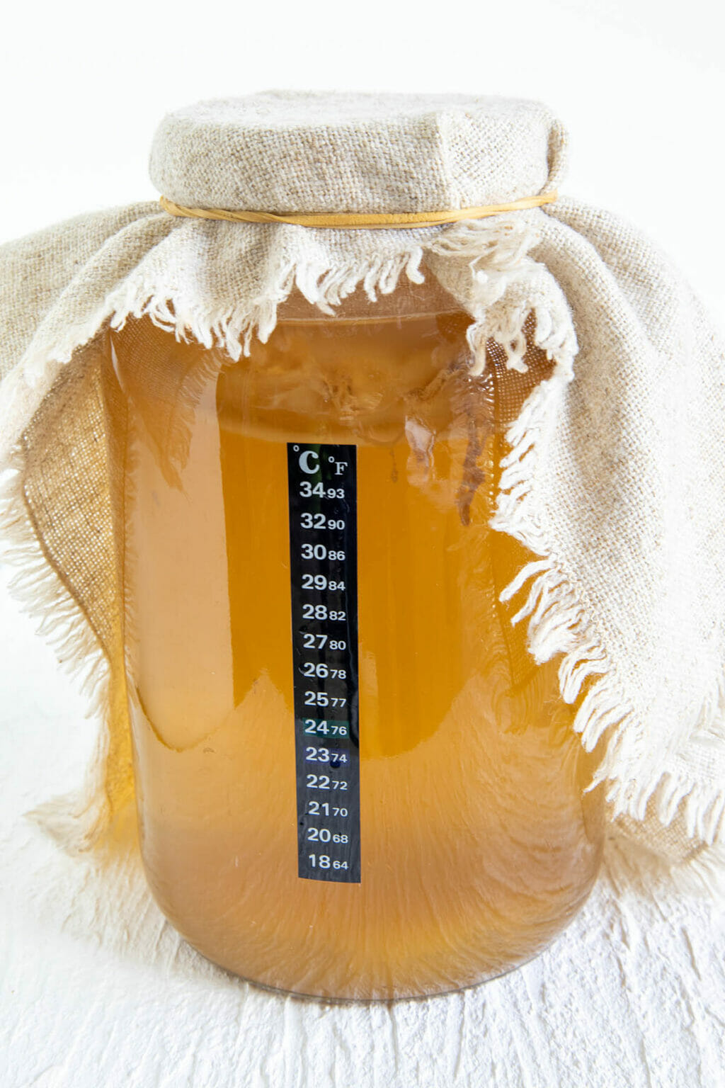 Yerba Mate Kombucha - Create Mindfully